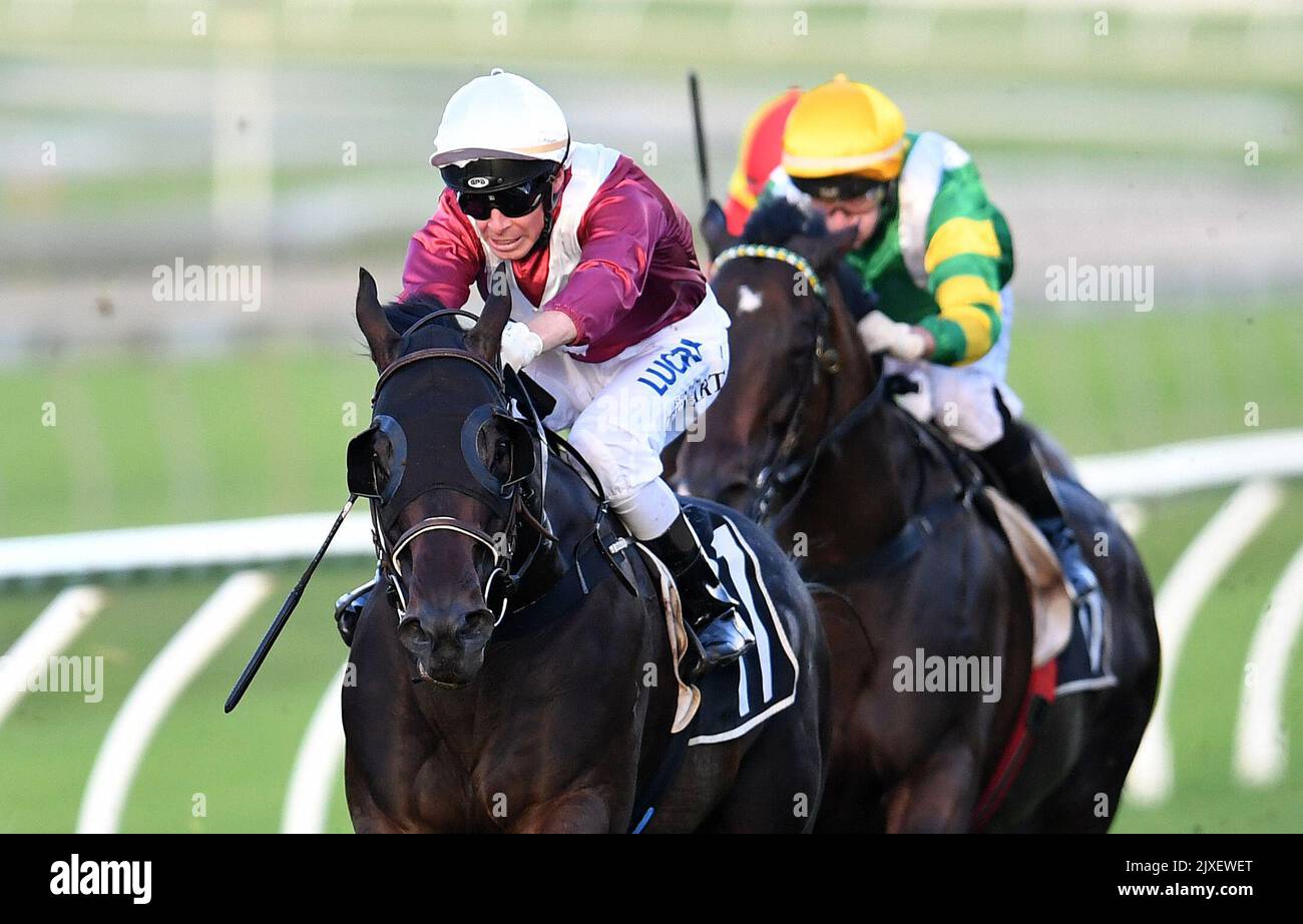 Jockey Ron Stewart (left) rides Mr Bellagio to win race 9, the ...
