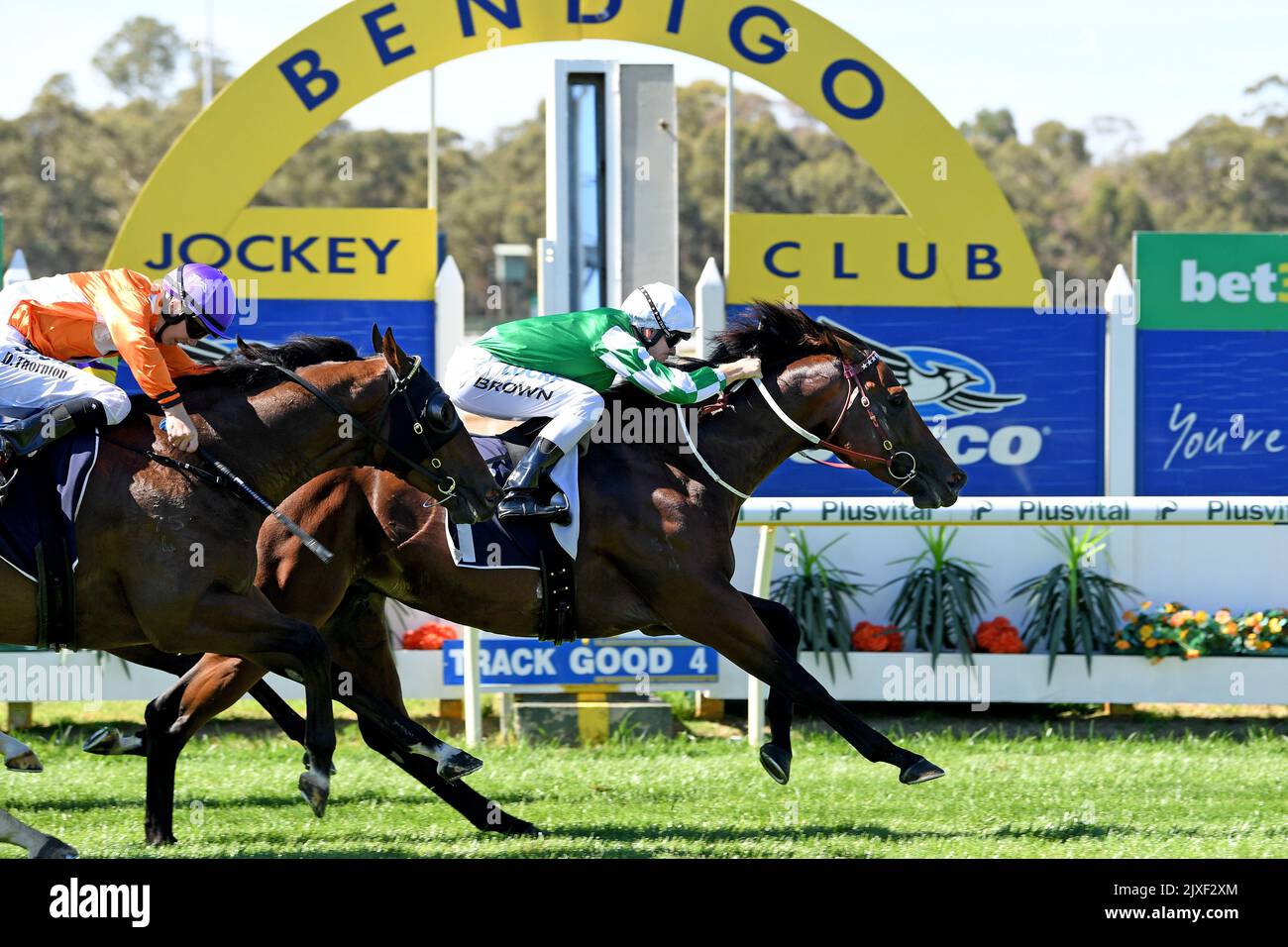 Jockey Ethan Brown rides Holy Blade (centre) to win race 2, the 1000m ...