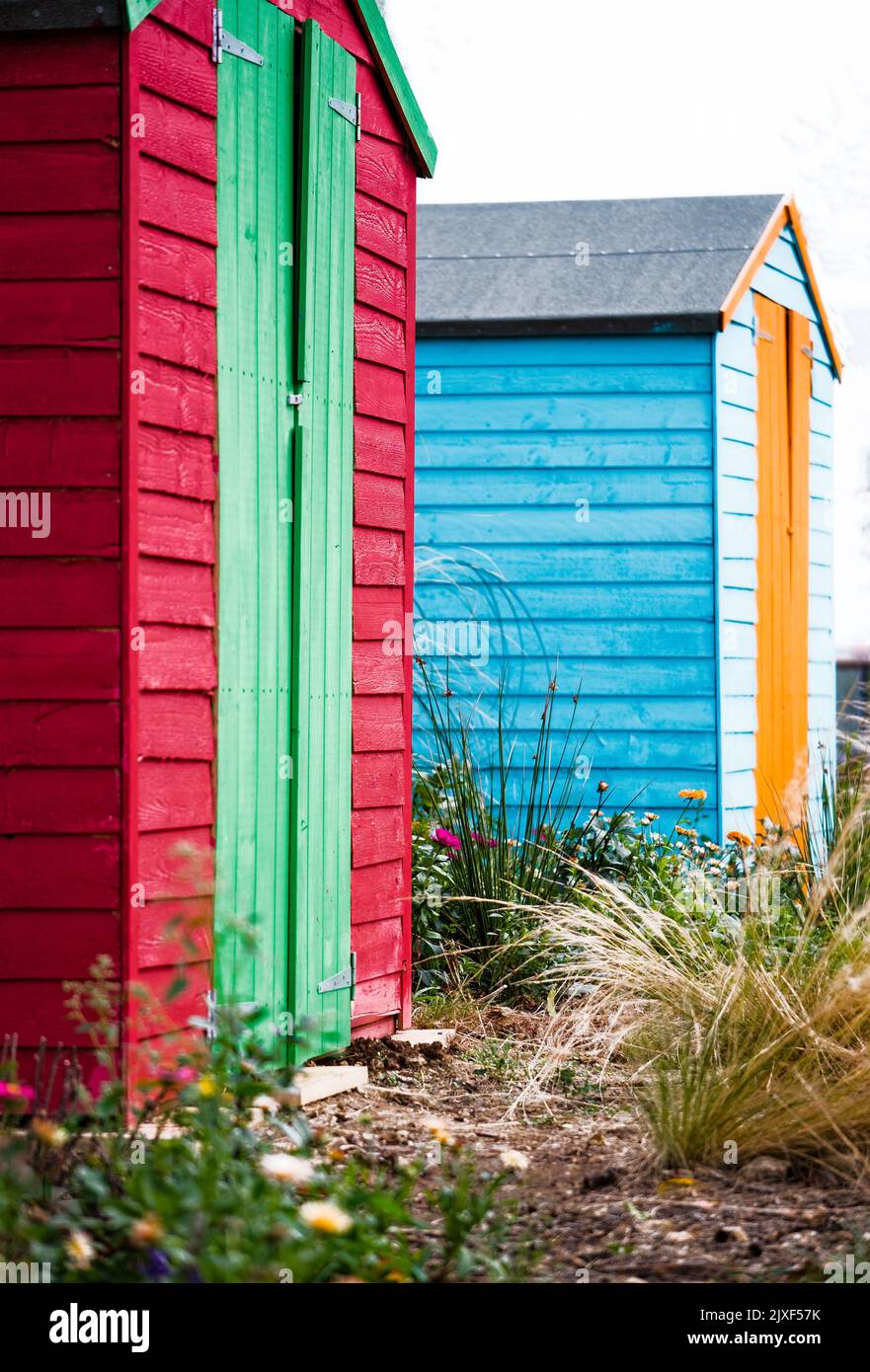 Brightly coloured painted gardening sheds at 'Dahlia Beach' dahlia farm ...