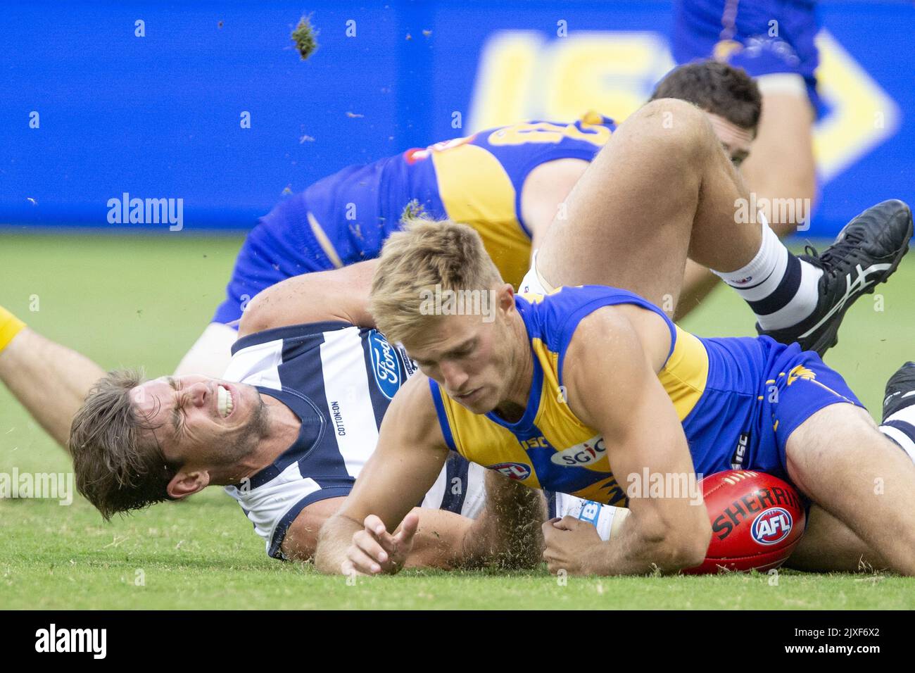 Geelong's Tom Hawkins clashes with West Coast's Brad Sheppard during ...