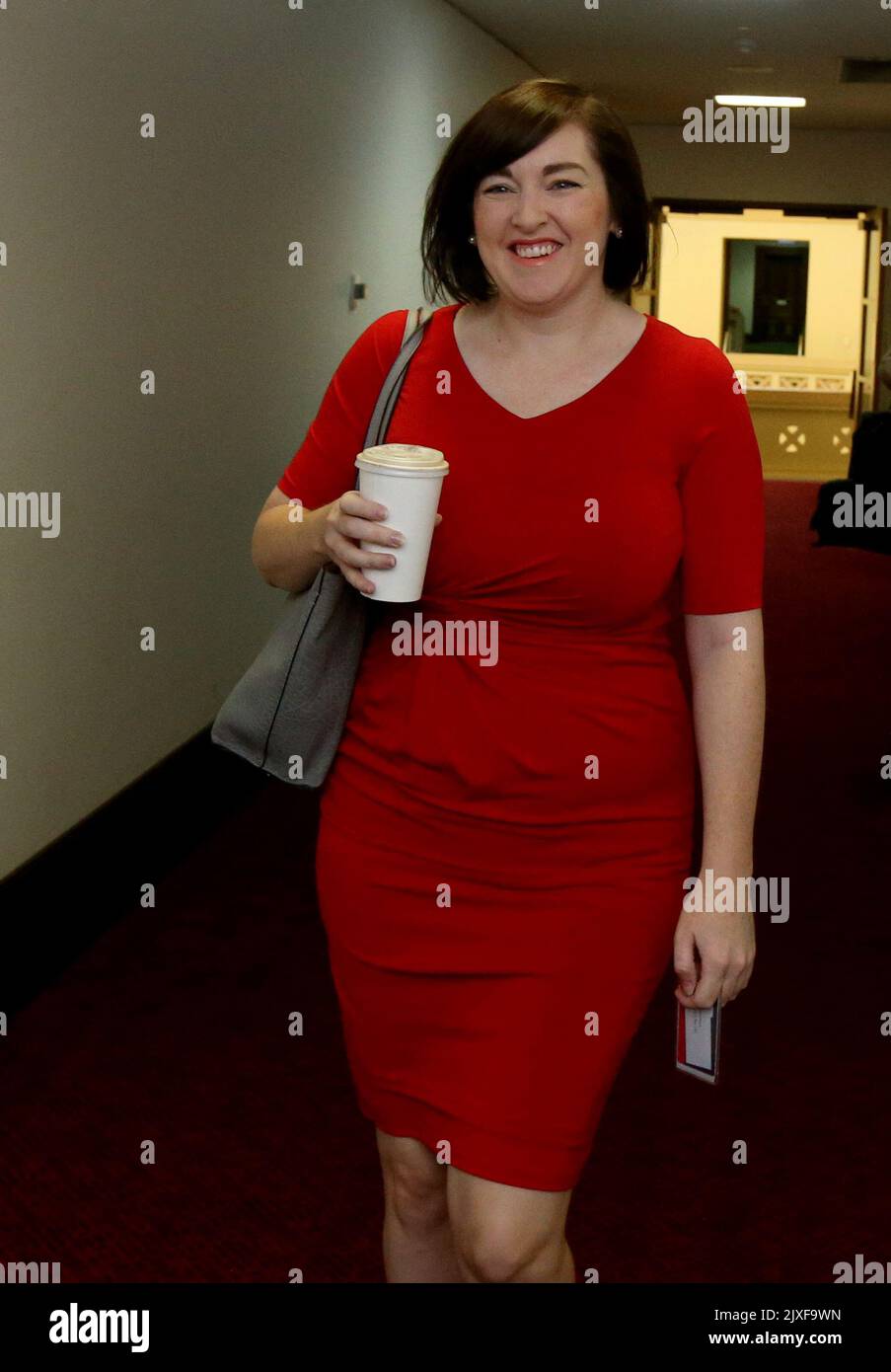 South Australian Shadow Minister for Child Protection and Shadow Minister for the Arts Jayne ...