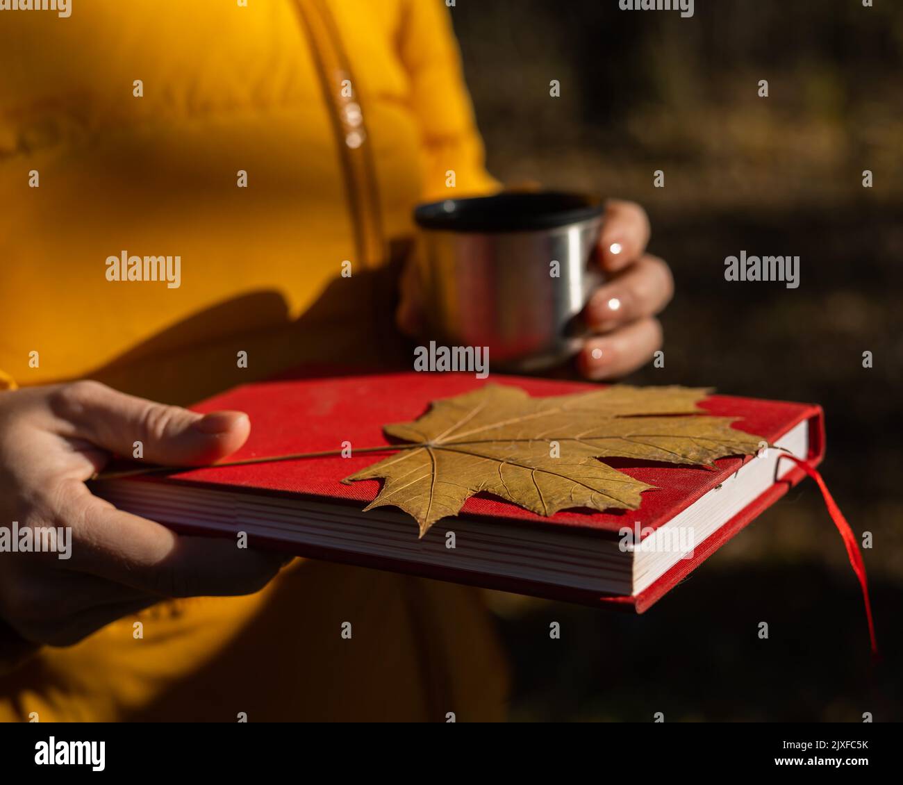 Woman holding thermos of hot tea red book and yellow fallen maple leaf ...