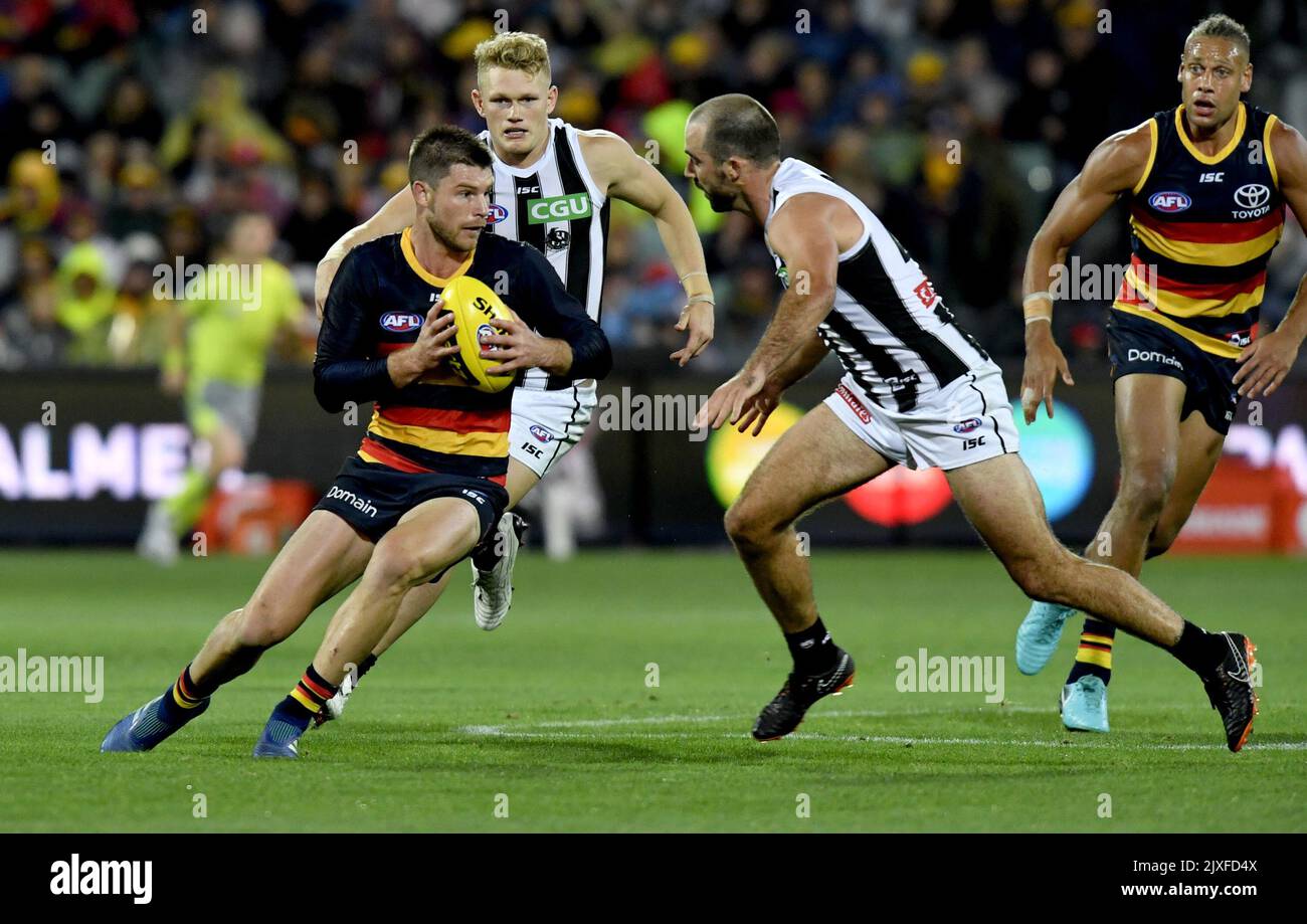 Bryce Gibbs of the Crows during the Round 4 AFL match between the ...