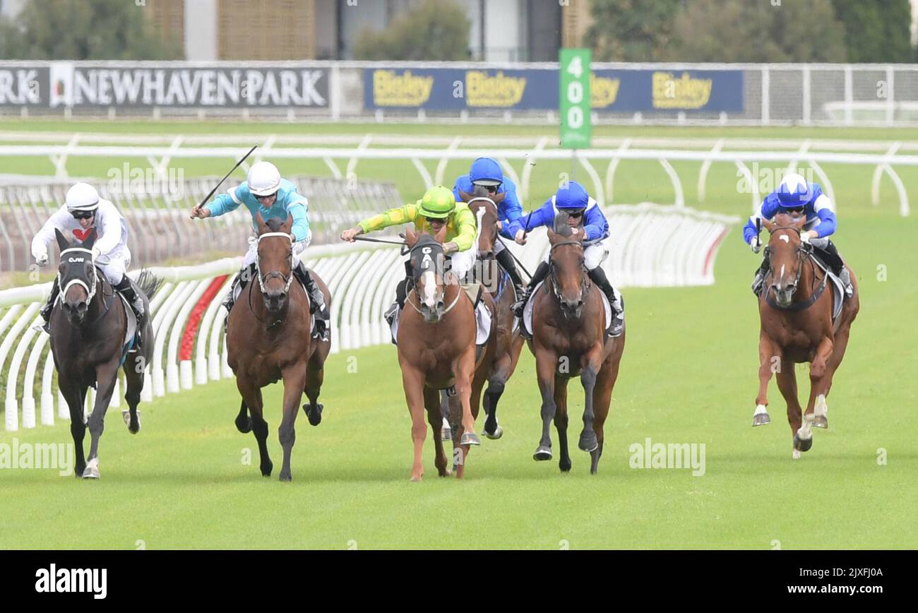 Jockey Corey Brown rides Luskintyre Lass to win race 2, the Theraces ...