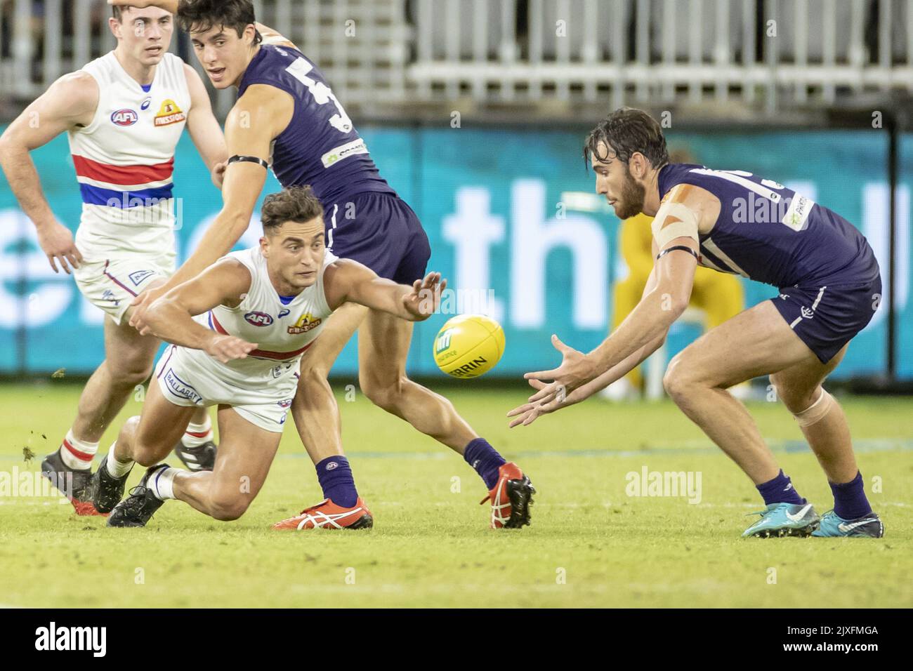 Luke Dahlhaus of the Bulldogs and Connor Blakely of the Dockers during ...