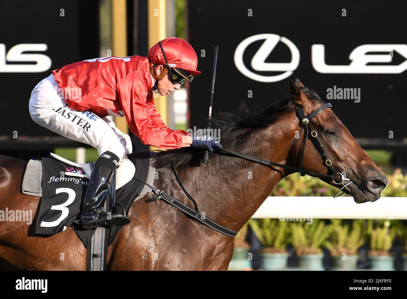Jockey Stephen Baster rides Dark Villain to victory in race 6, the VRC ...