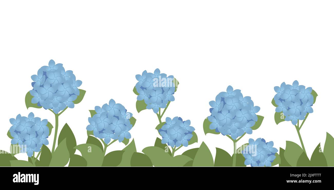 Simple hydrangea flowers bed with green grass and leaves vector ...