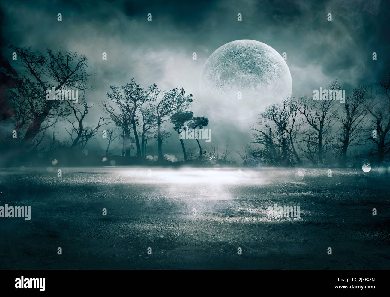Fog In Spooky Forest At Night With Full Moon On Asphalt - Abstract ...