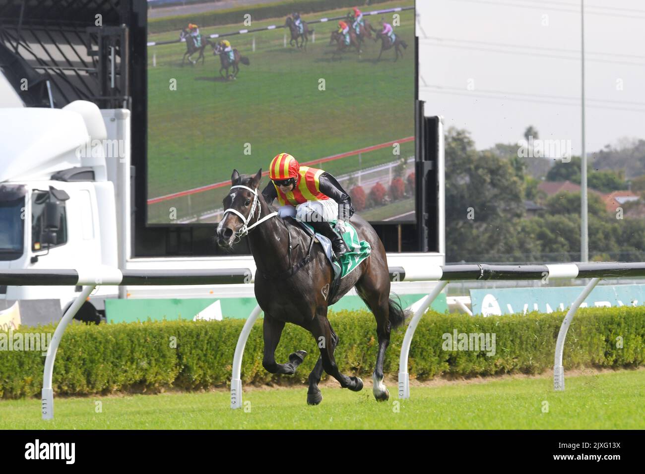 Jockey Kathy O'Hara rides Ms Rodarte to victory in Race 1, the Tab.com ...