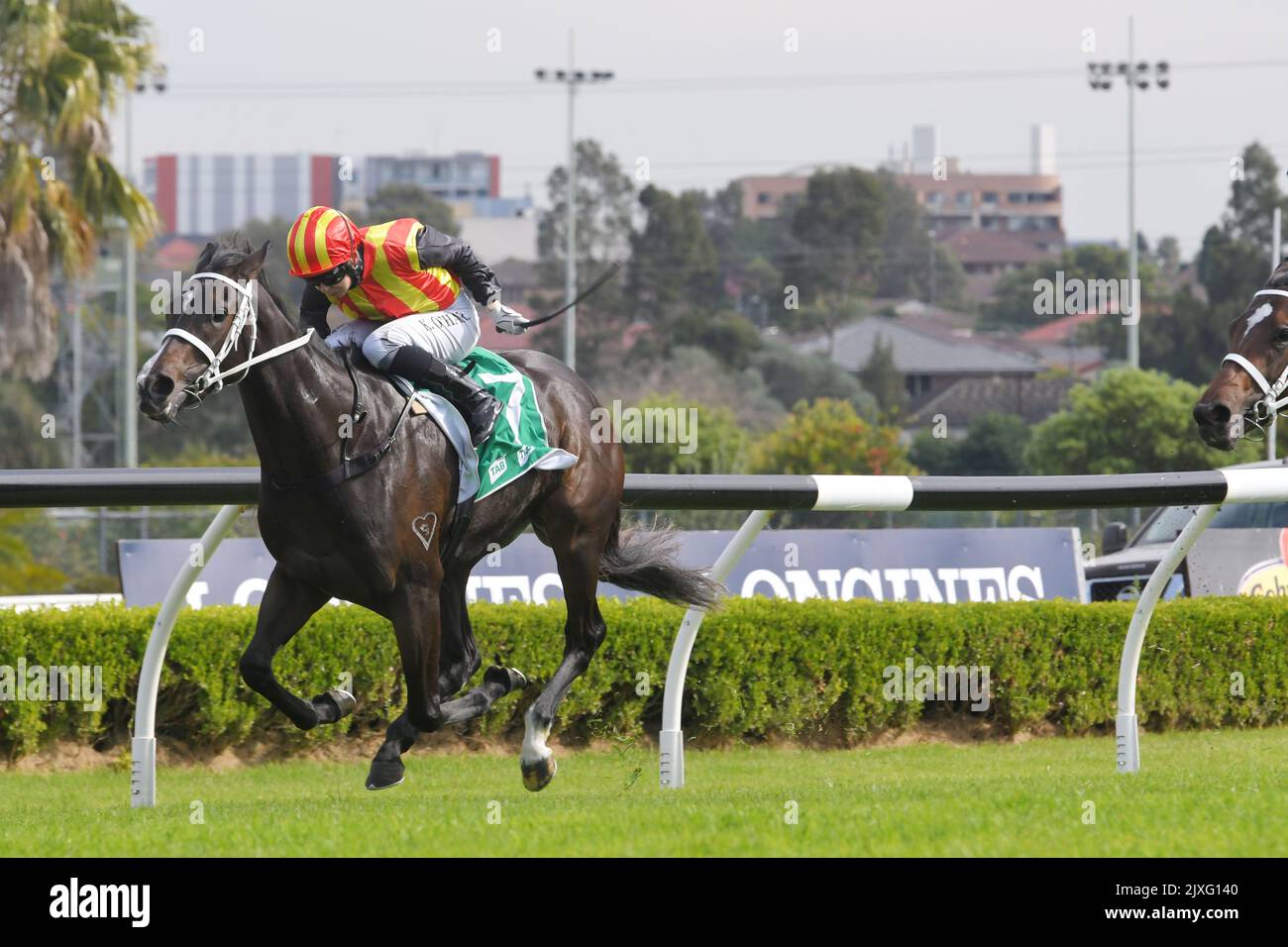 Jockey Kathy O'Hara rides Ms Rodarte to victory in Race 1, the Tab.com ...