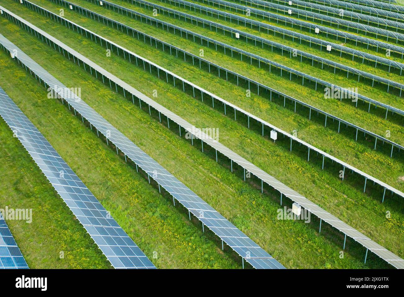 Long rows of sun panels built on green field. Innovative photovoltaic ...
