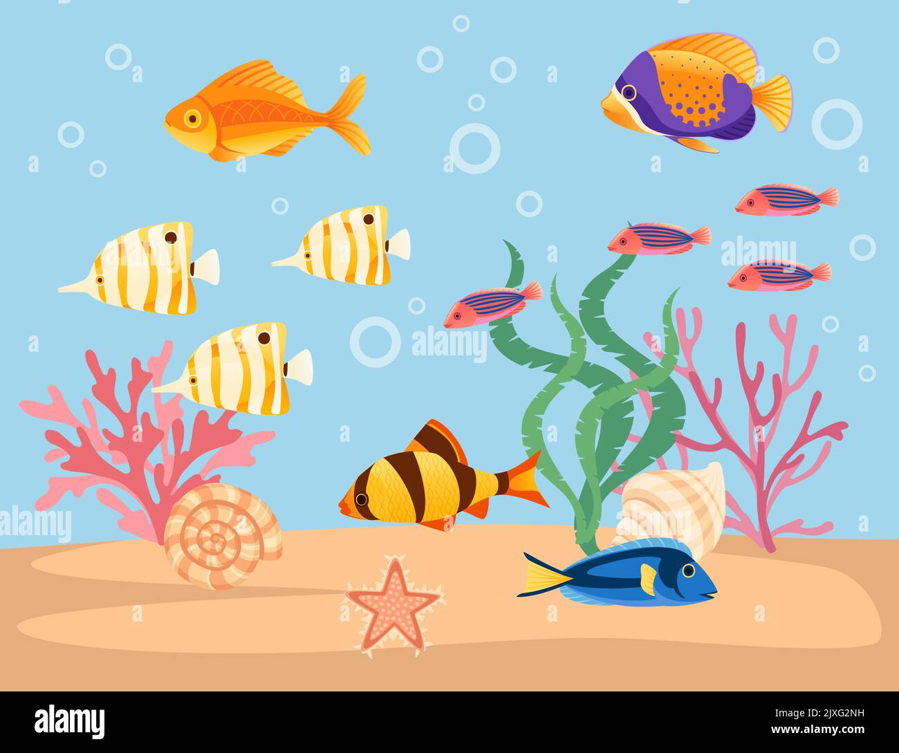 Big aquarium with different tropical fishes sand corals and shells ...