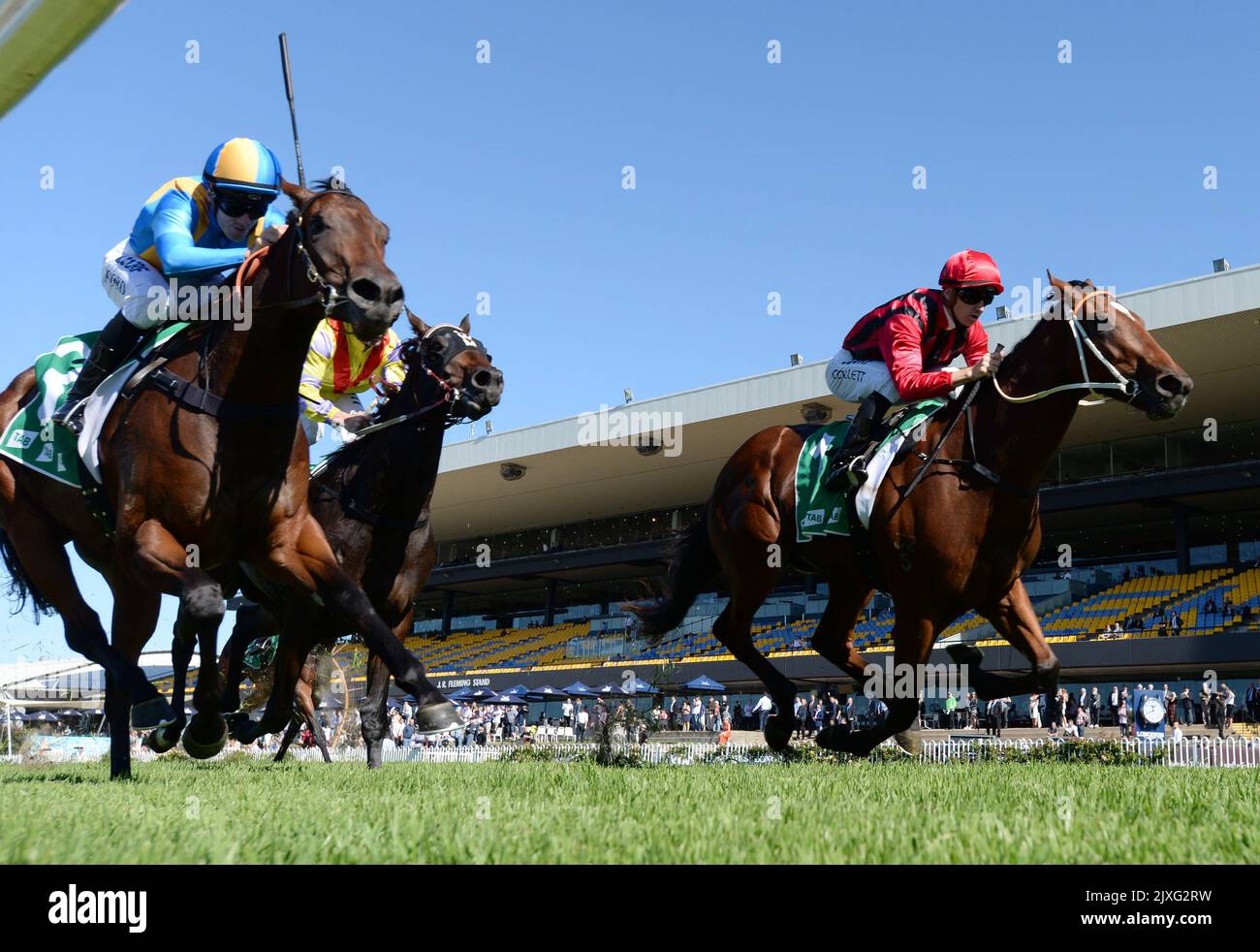 Gem Song ridden by Jason Collett wins race 1, the TAB Rewards Handicap ...