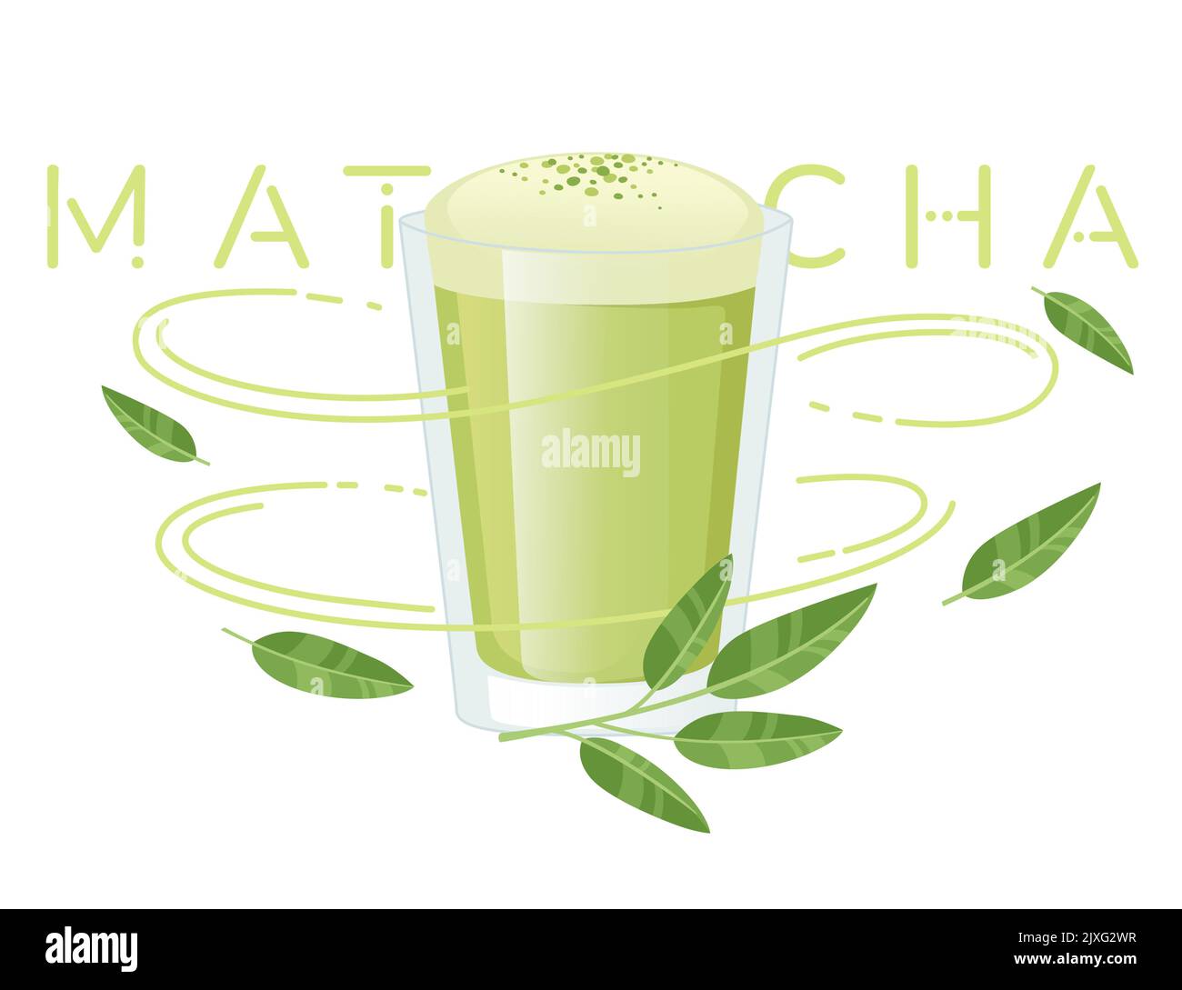 Matcha tea in glass cup vector illustration on white background Stock ...