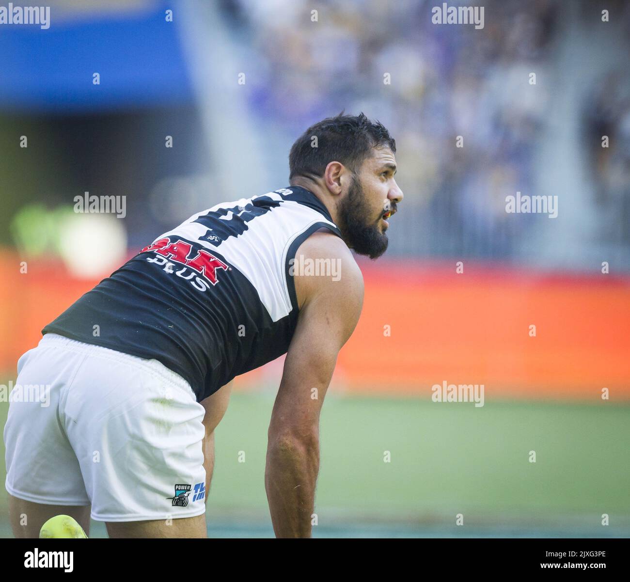 Paddy Ryder of the Power looks on during the Round 7 AFL match between the West Coast Eagles and ...