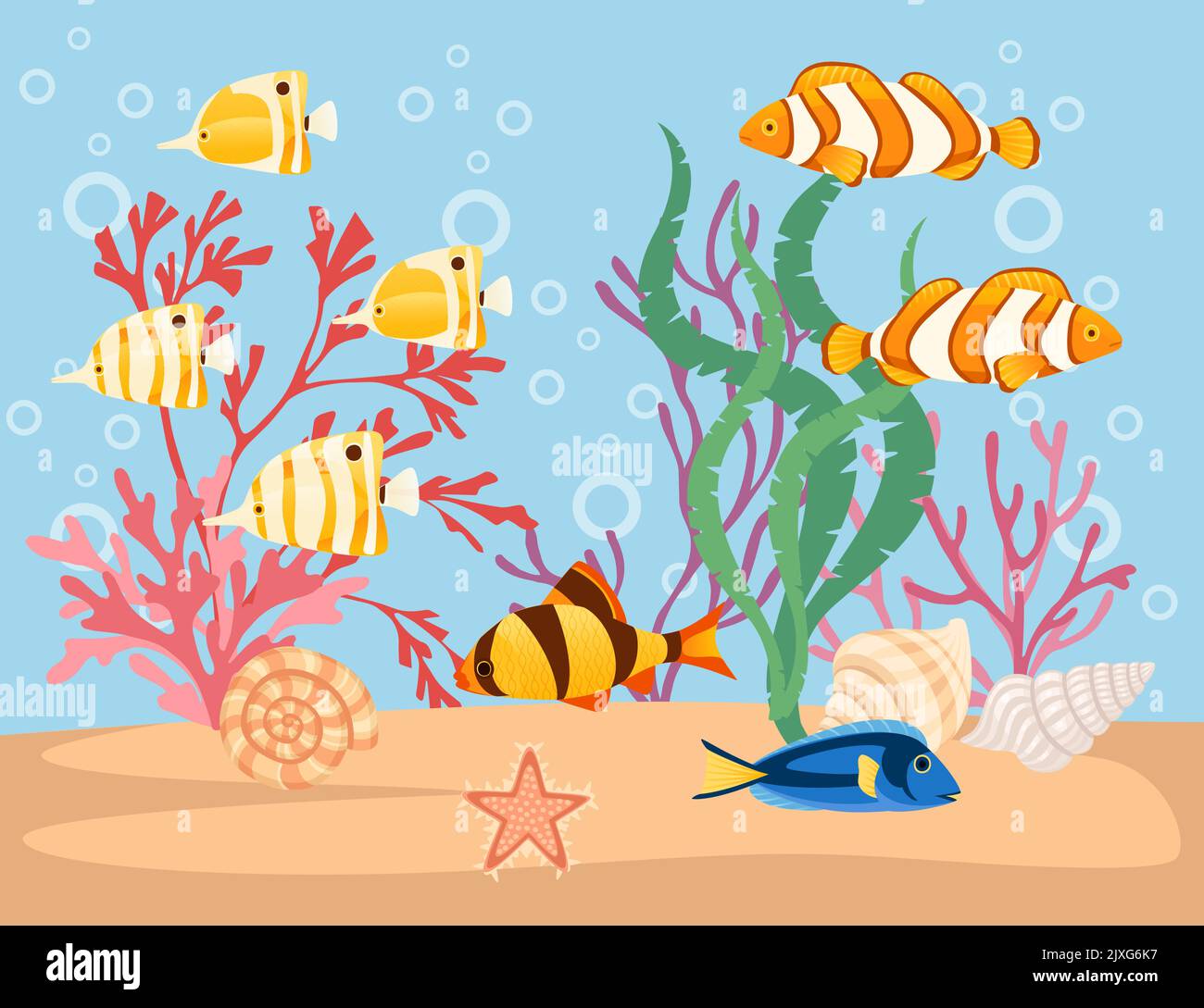 Big aquarium with different tropical fishes sand corals and shells vector illustration on white ...
