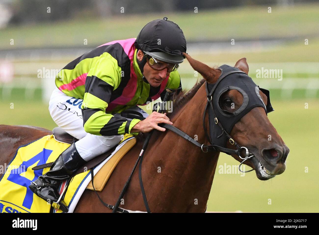 Jockey Damien Oliver rides Groovin to victory in race 5, the Spicer ...