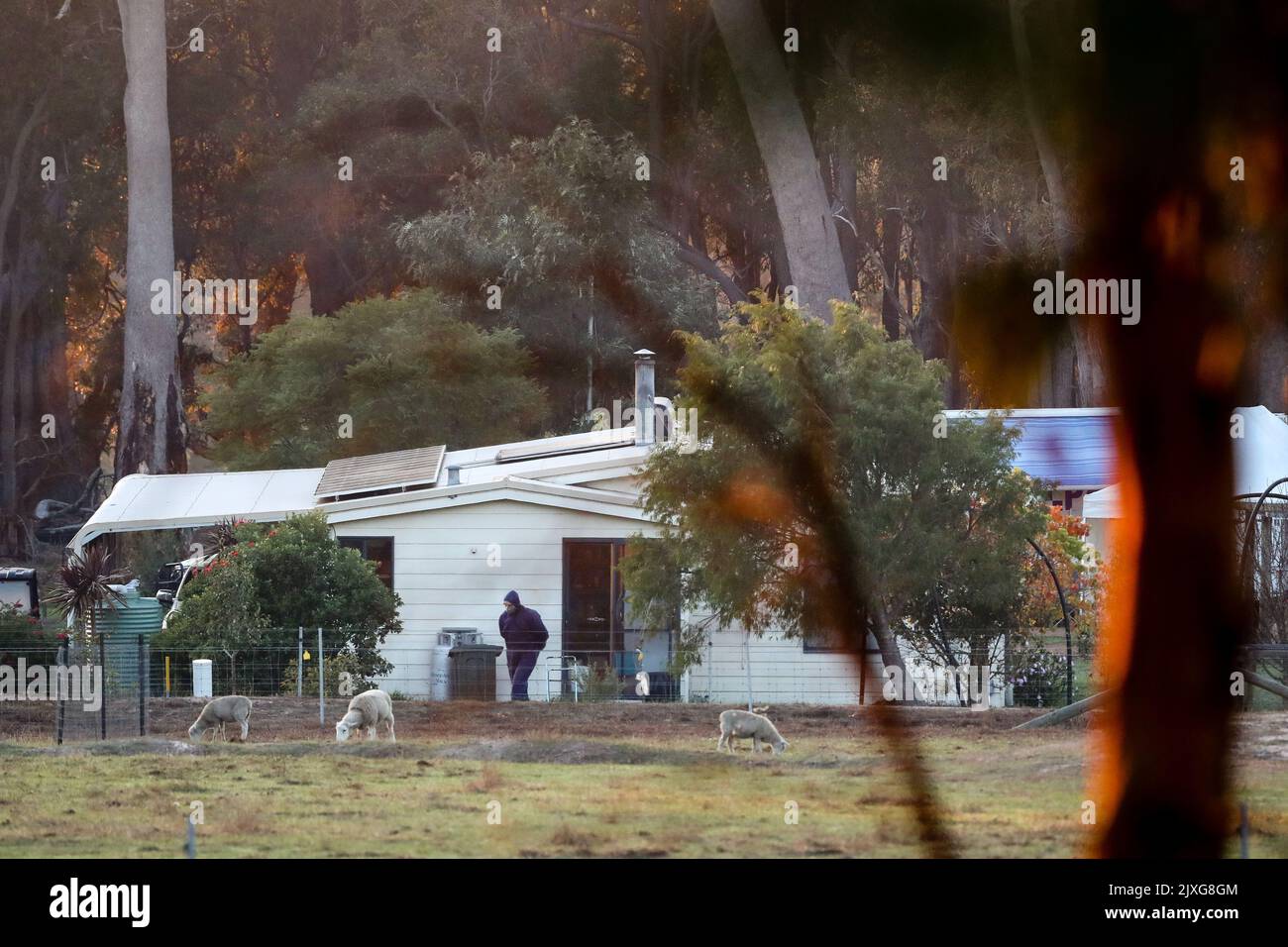 Police continue their crime scene investigations at first light at a ...