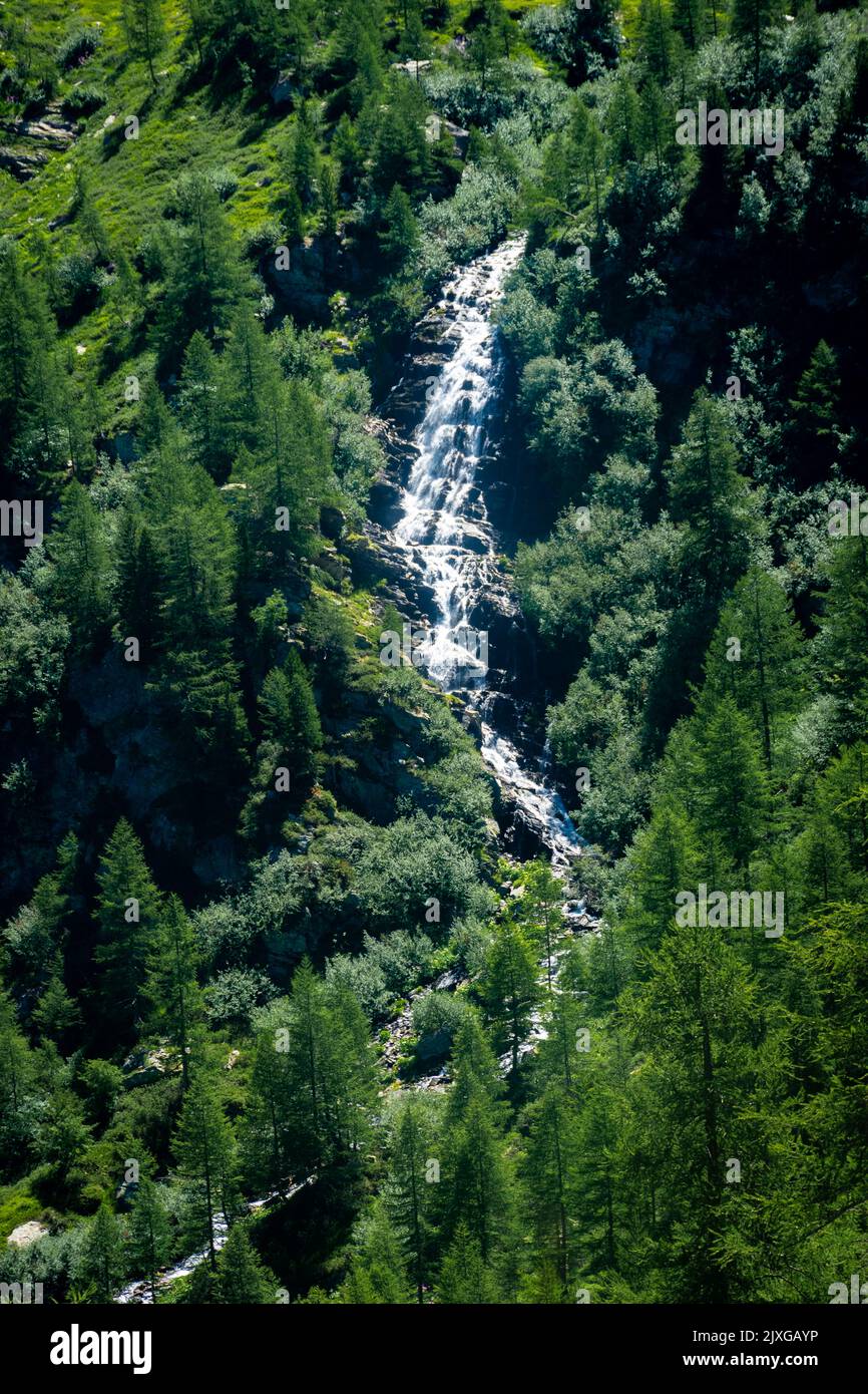 Beautiful waterfall flowing down a forest in the Italian Alps Stock ...