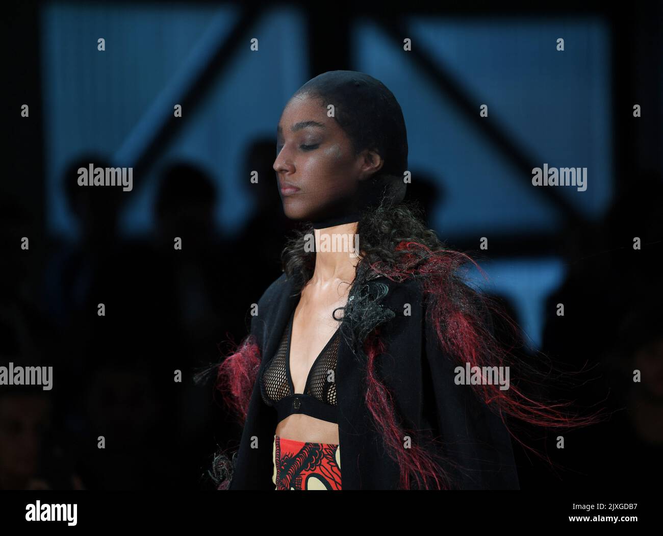 A model wears a creation by Dana Lock during the FDS: The Innovators ...