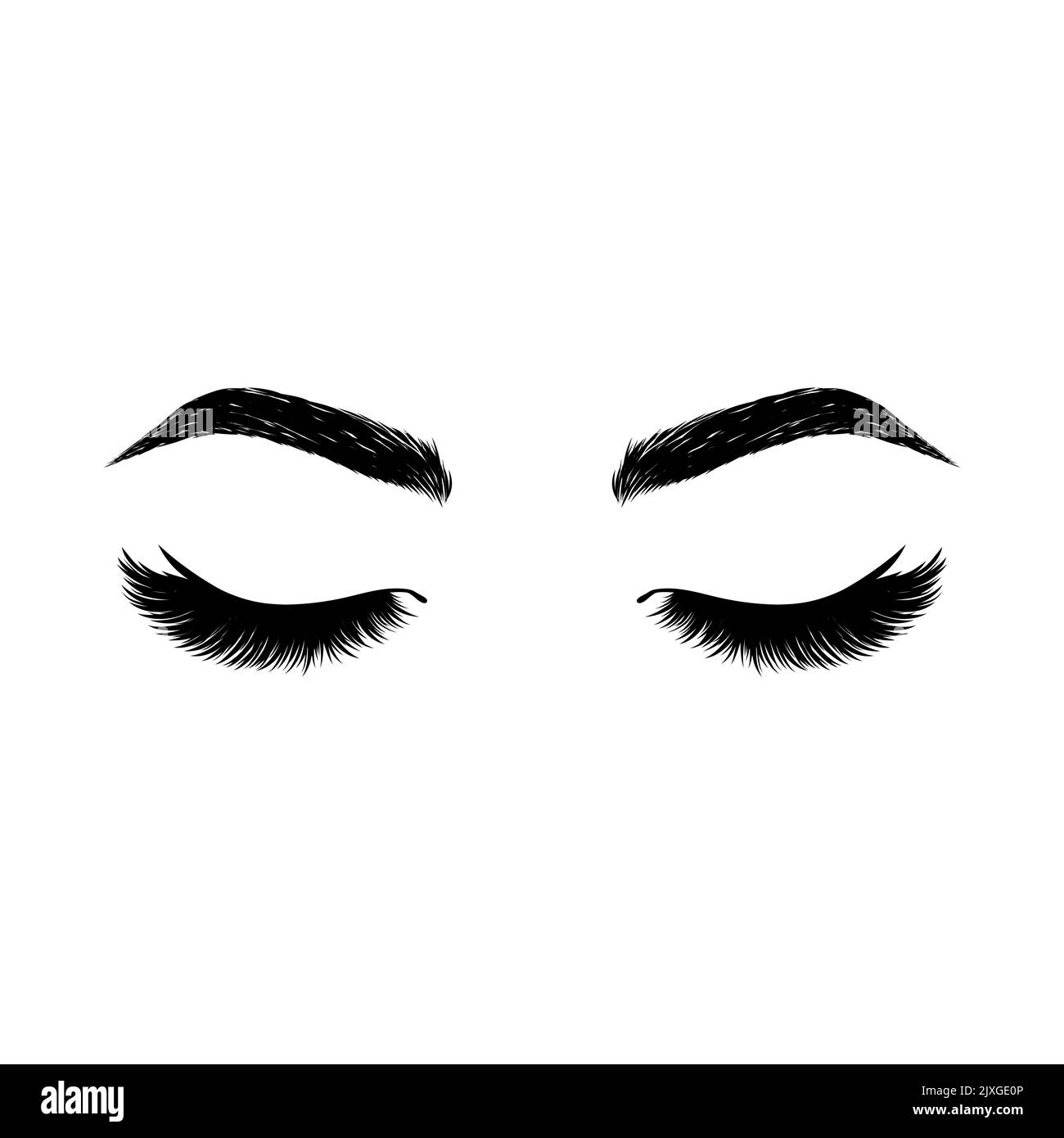 Hand drawn eyelahes and eyebrows Stock Vector Image & Art - Alamy