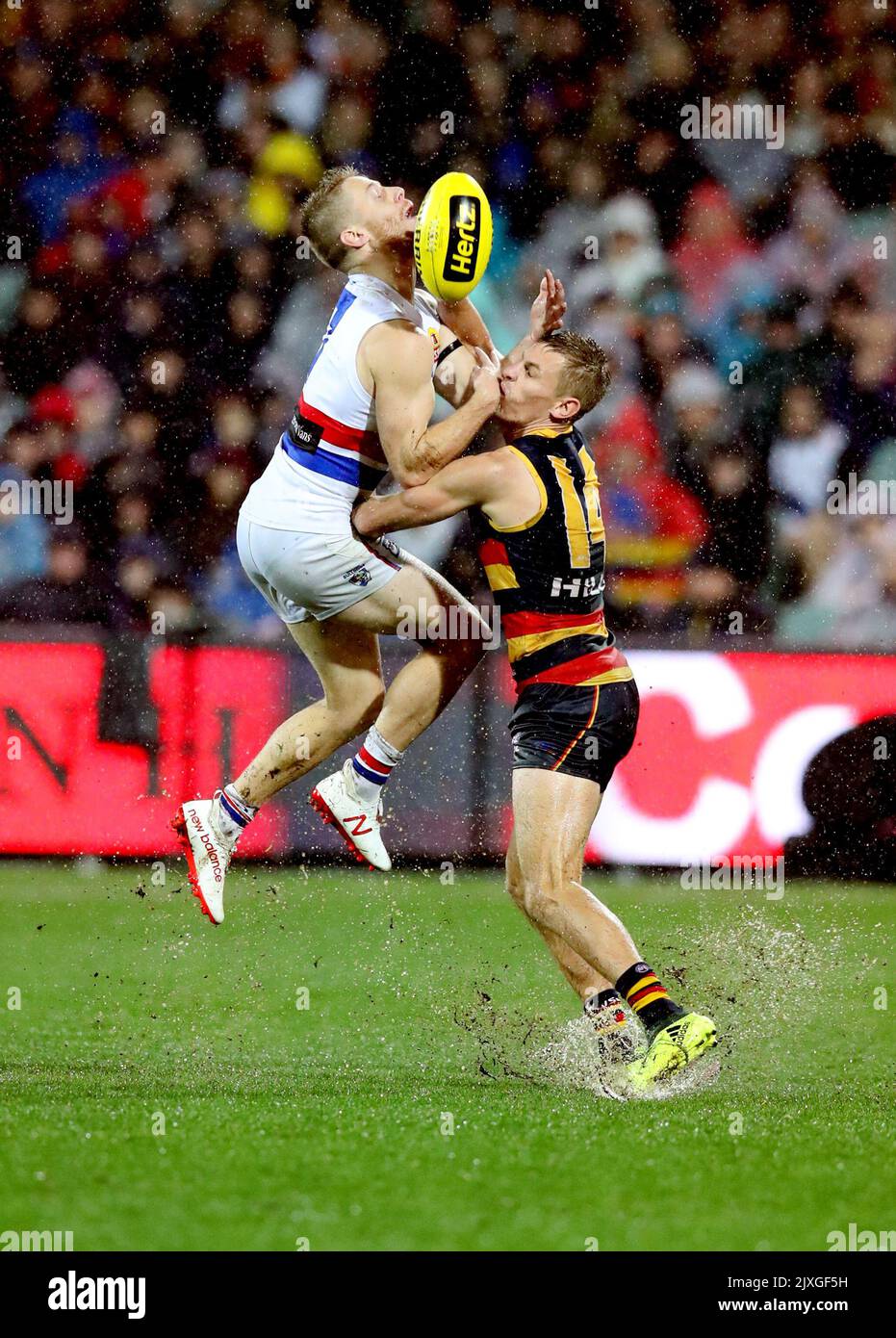 Lachie Hunter of the Bulldogs (left) and David Mackay of the Crows ...