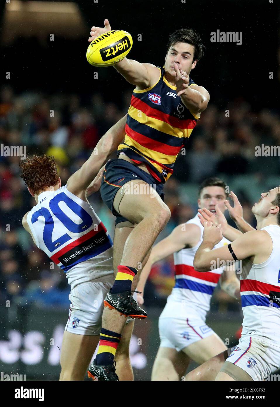 Darcy Fogarty of the Crows marks the ball during the Round 9 AFL match ...