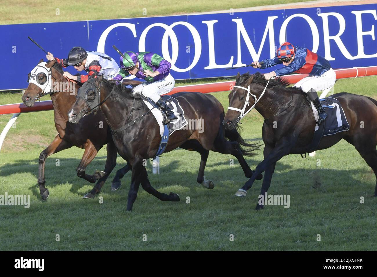 King Darci ridden by Jockey Adam Hyeronimus wins race 7, Australian ...