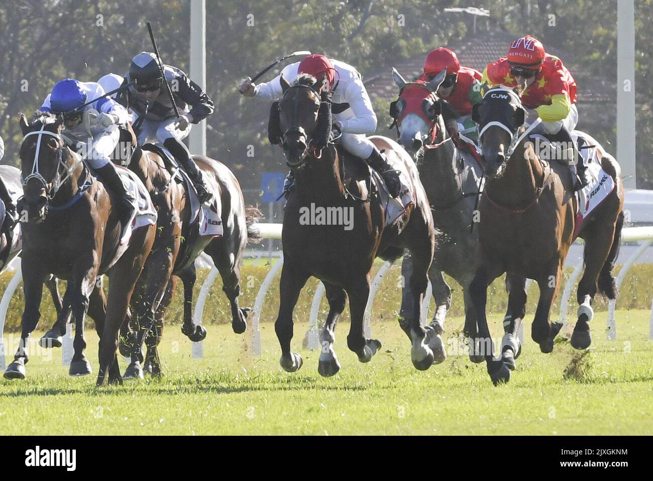 Tye Angland rides Augustus (right) to victory in Race 4, the Ranvet ...