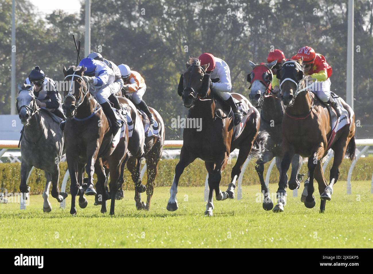 Tye Angland rides Augustus (right) to victory in Race 4, the Ranvet ...