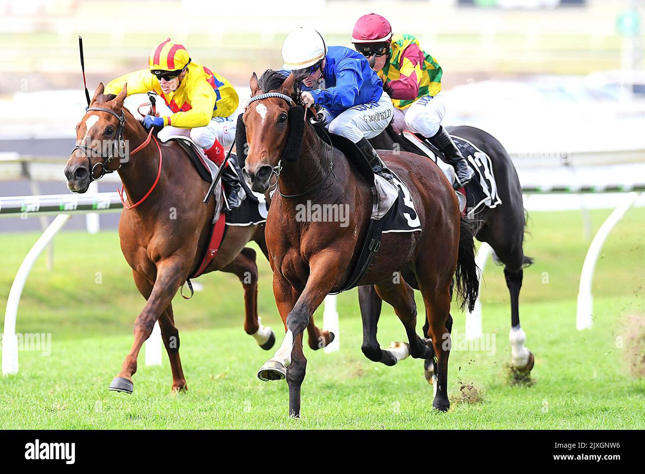 Jockey Glyn Schofield rides Duca Valentinois (center) to victory in ...