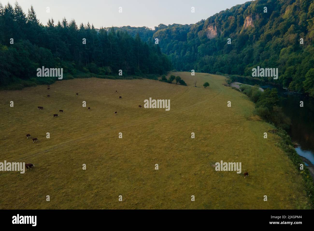 England- UK: Symonds Yat Rock, a famous view point overlooking the Wye ...