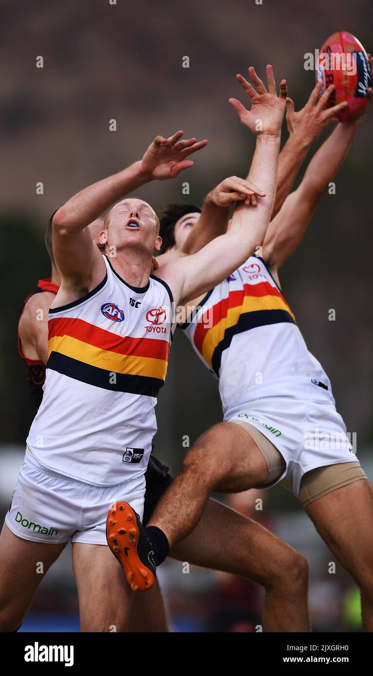 Darcy Fogarty of the Adelaide Crows marks over Sam Jacobs of the ...