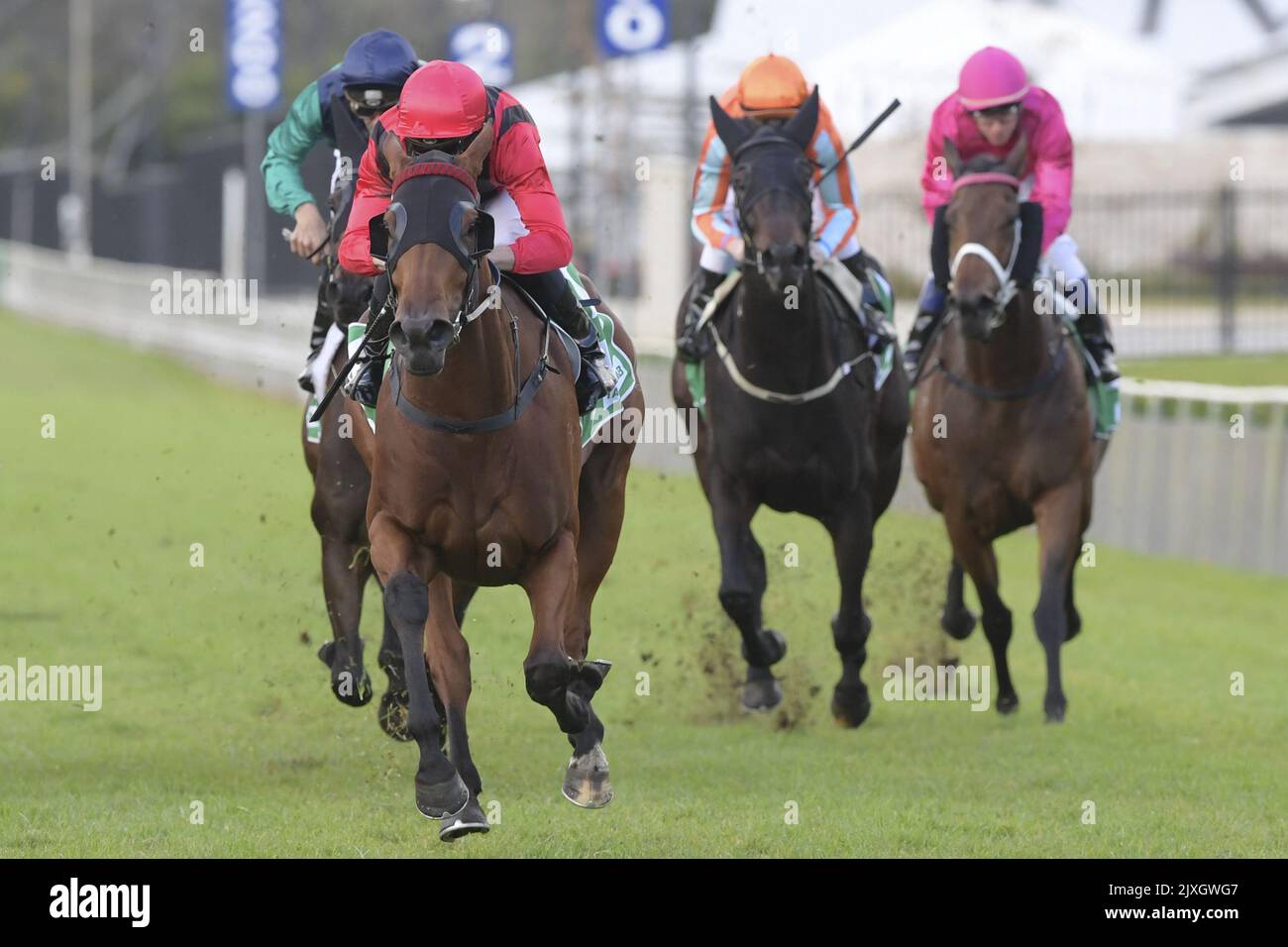 Jockey Joshua Parr rides Sweet Victory to win race 4, the TAB Handicap ...