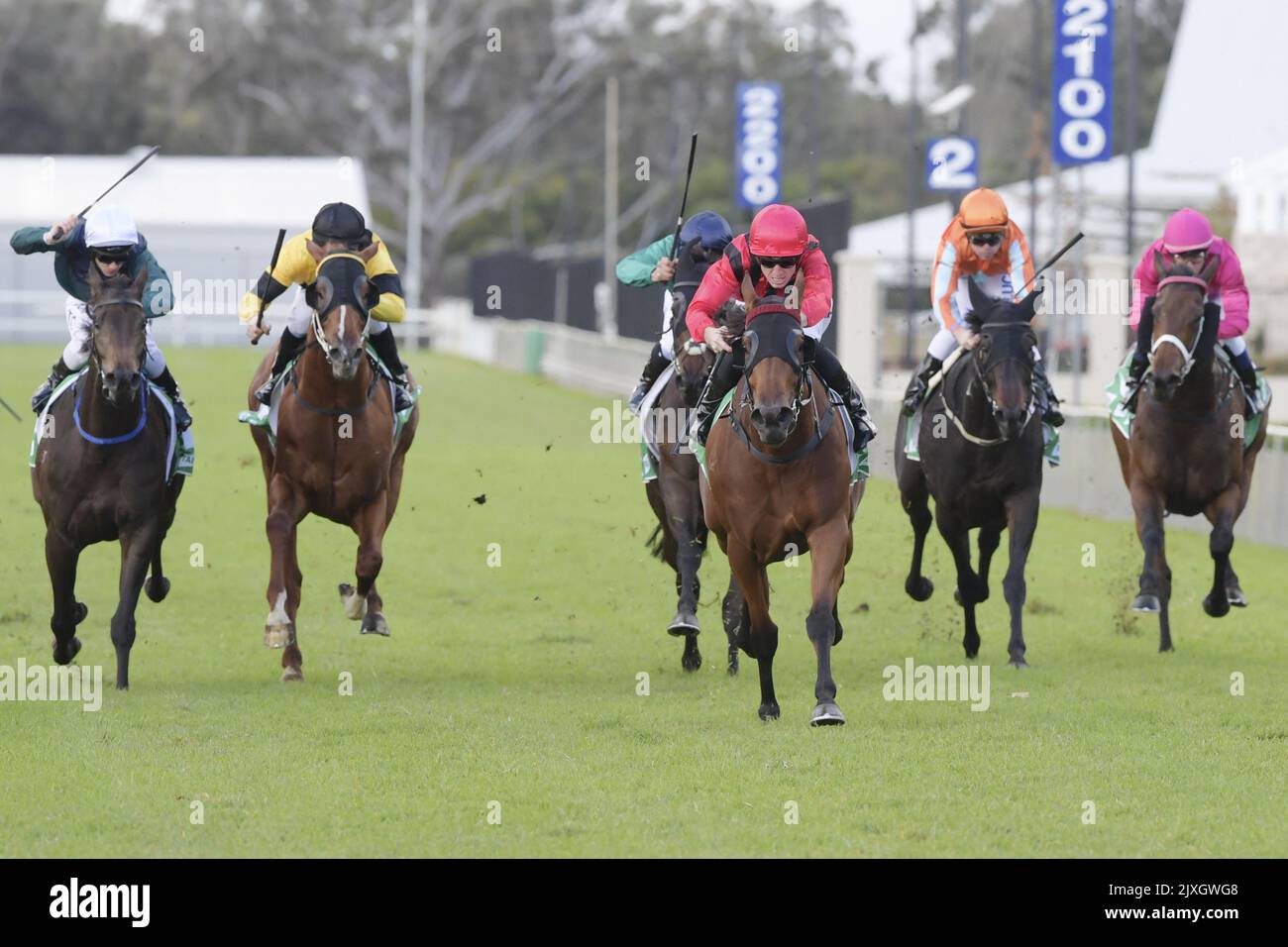 Jockey Joshua Parr rides Sweet Victory to win race 4, the TAB Handicap ...