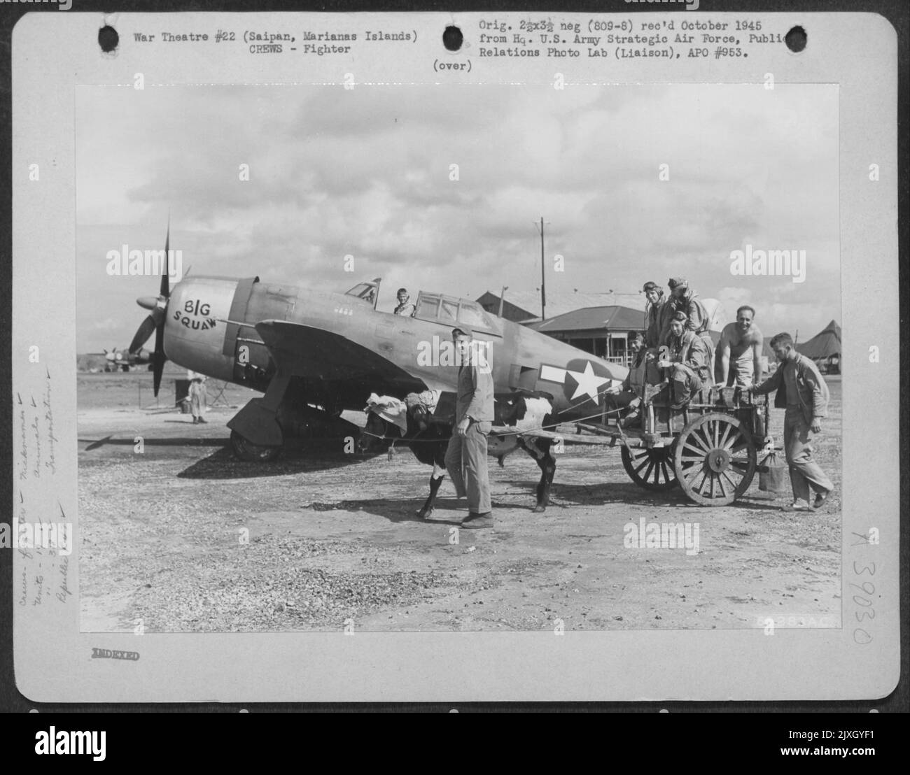 Pilots Of The 19Th Fighter Squadron, 319Th Fighter Group, Use This Oxen ...
