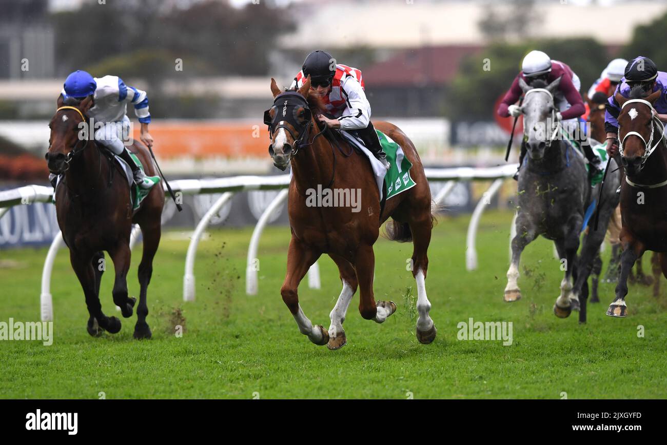 Radiant Choice ridden by James McDonald wins race 4, the TAB Highway ...
