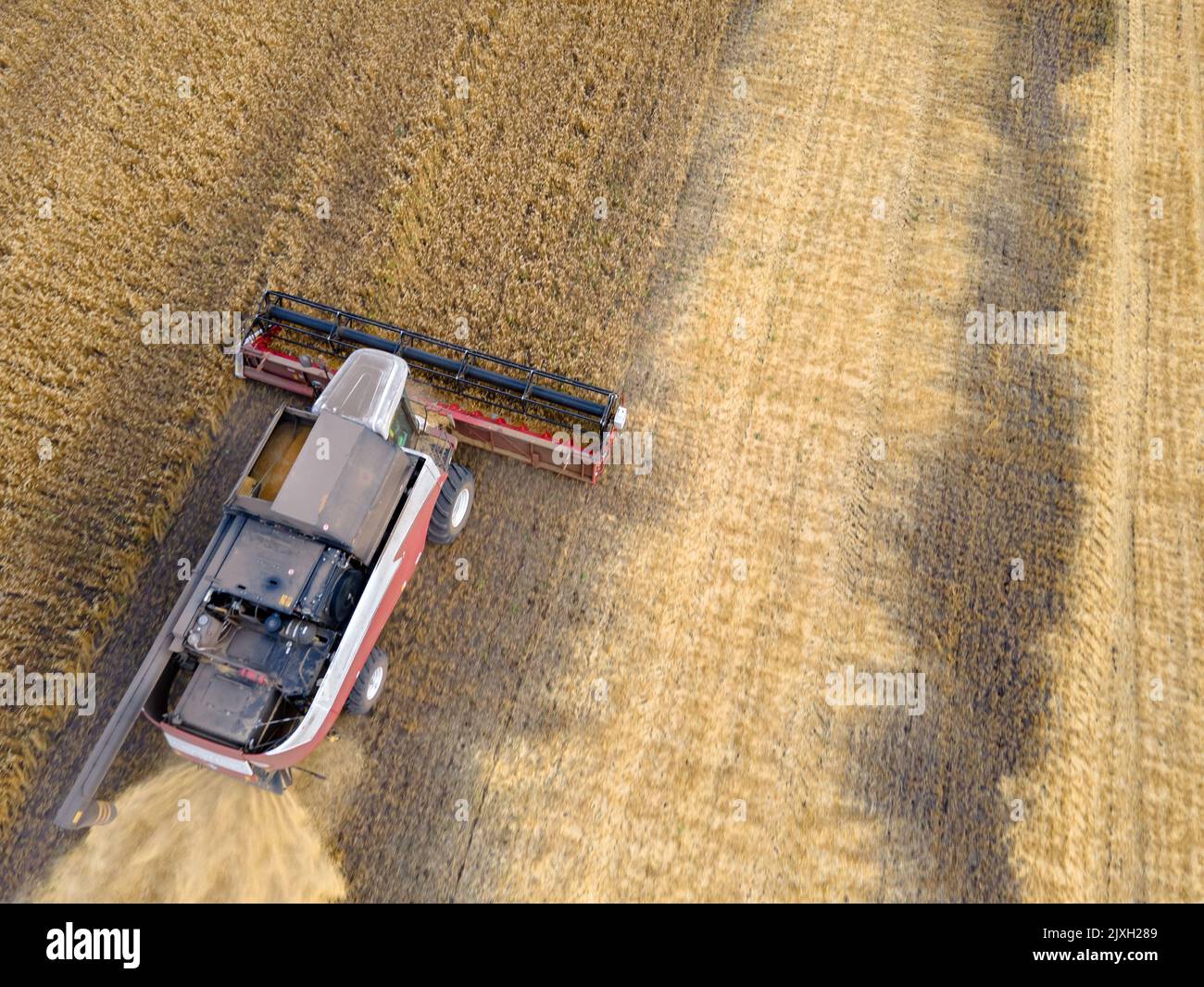 Combines mow wheat in the field.Agro-industry.Combine Harvester Cutting ...