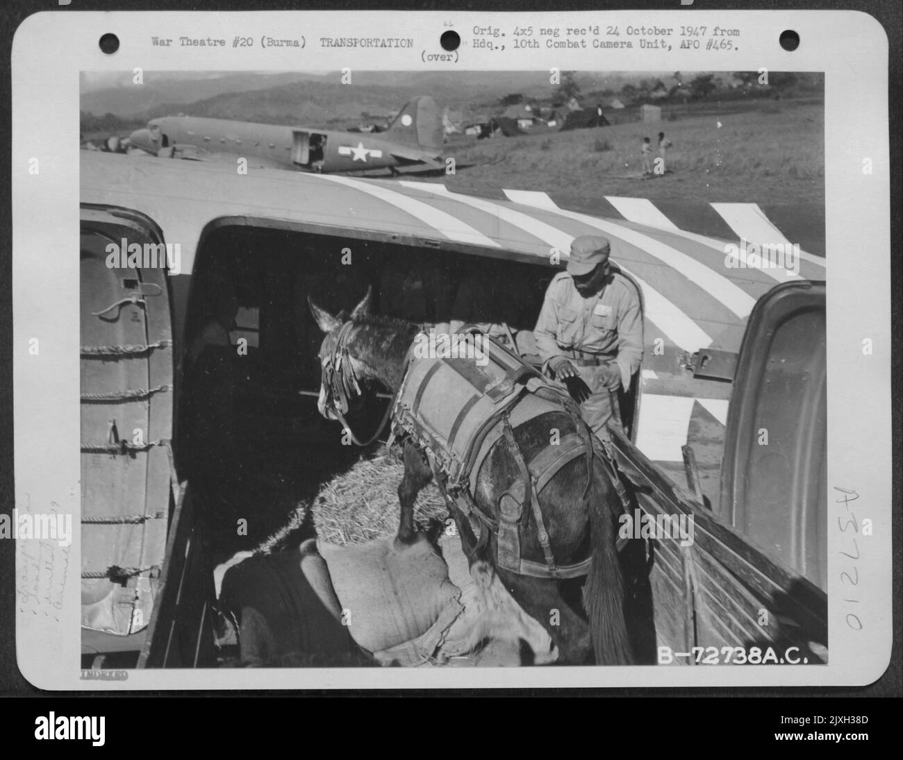 Chinese And American Troops Load Mules Onto A Douglas C-47 Of The 319Th ...