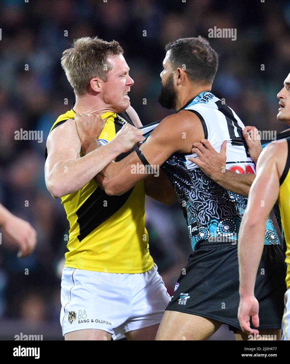Jack Riewoldt of the Tigers and Patrick Ryder of the Power scuffle ...