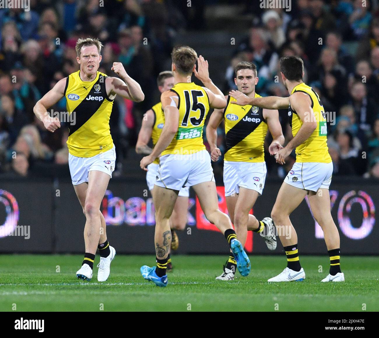 Jack Riewoldt of the Tigers celebrates a goal during the Round 12 AFL ...