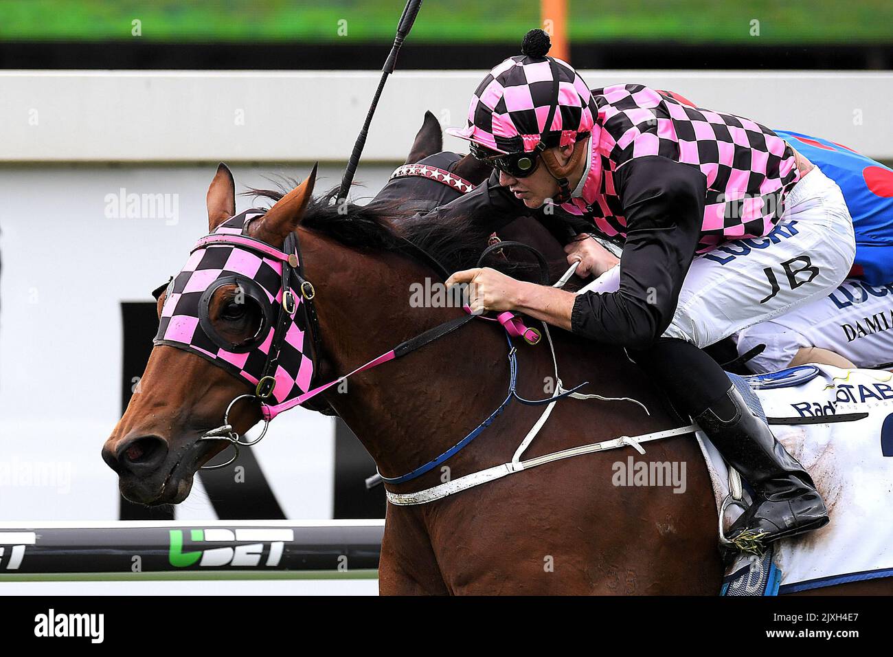 Jockey Jake Bayliss rides Hopfgarten to victory in race 2, the Radiotab ...