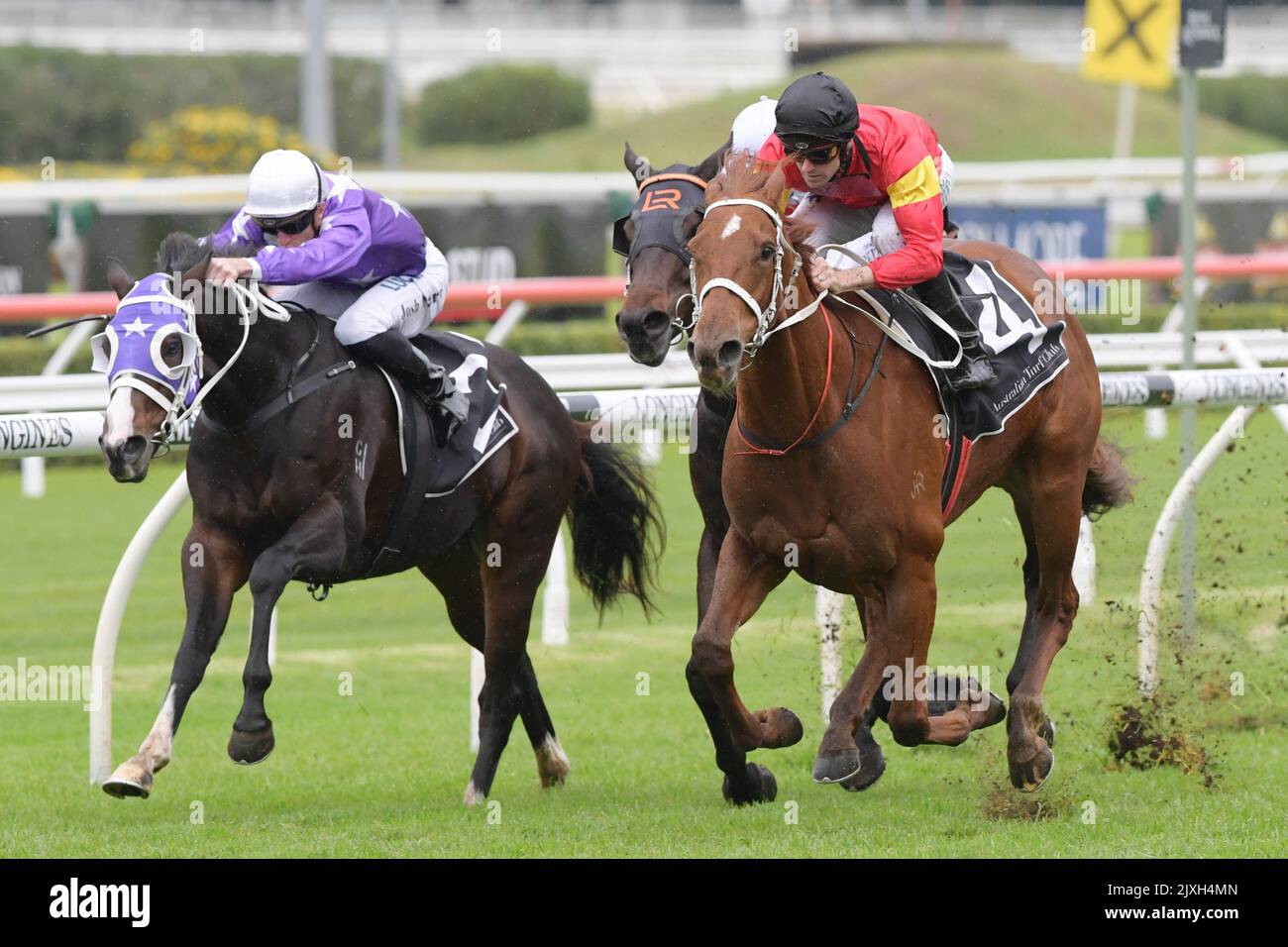 Jockey Tye England rides I Am Serious to win race 5, the ATC Owner ...