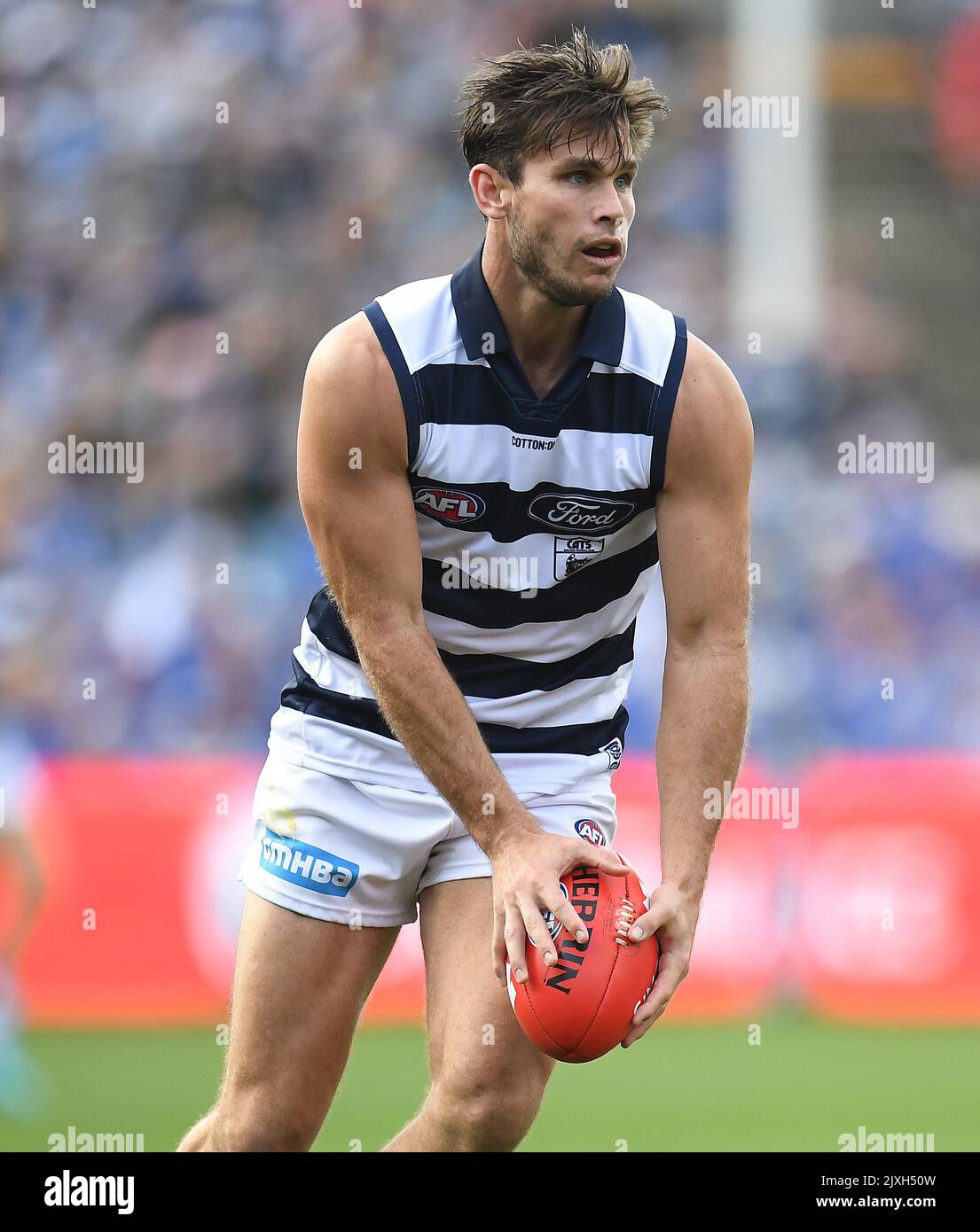 Tom Hawkins of the Cats is seen in action during the Round 12 AFL match ...