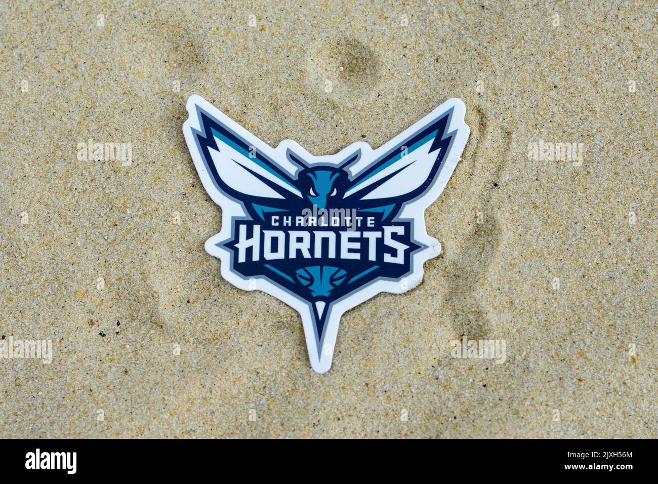 Charlotte Hornets Vector Logo