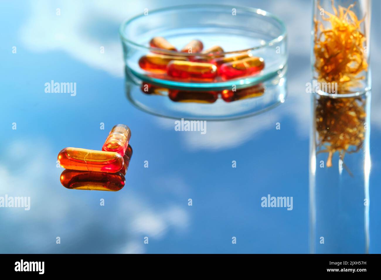 Curcumin in liquid form. Herbal capsules, herb turmeric capsules on ...