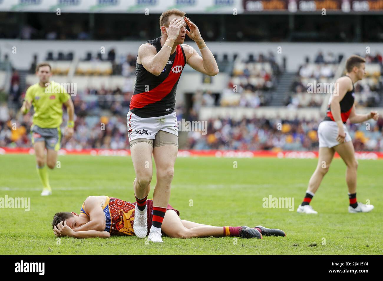 Brendon Goddard of the Bombers pleads to the umpire during the Round 12 ...