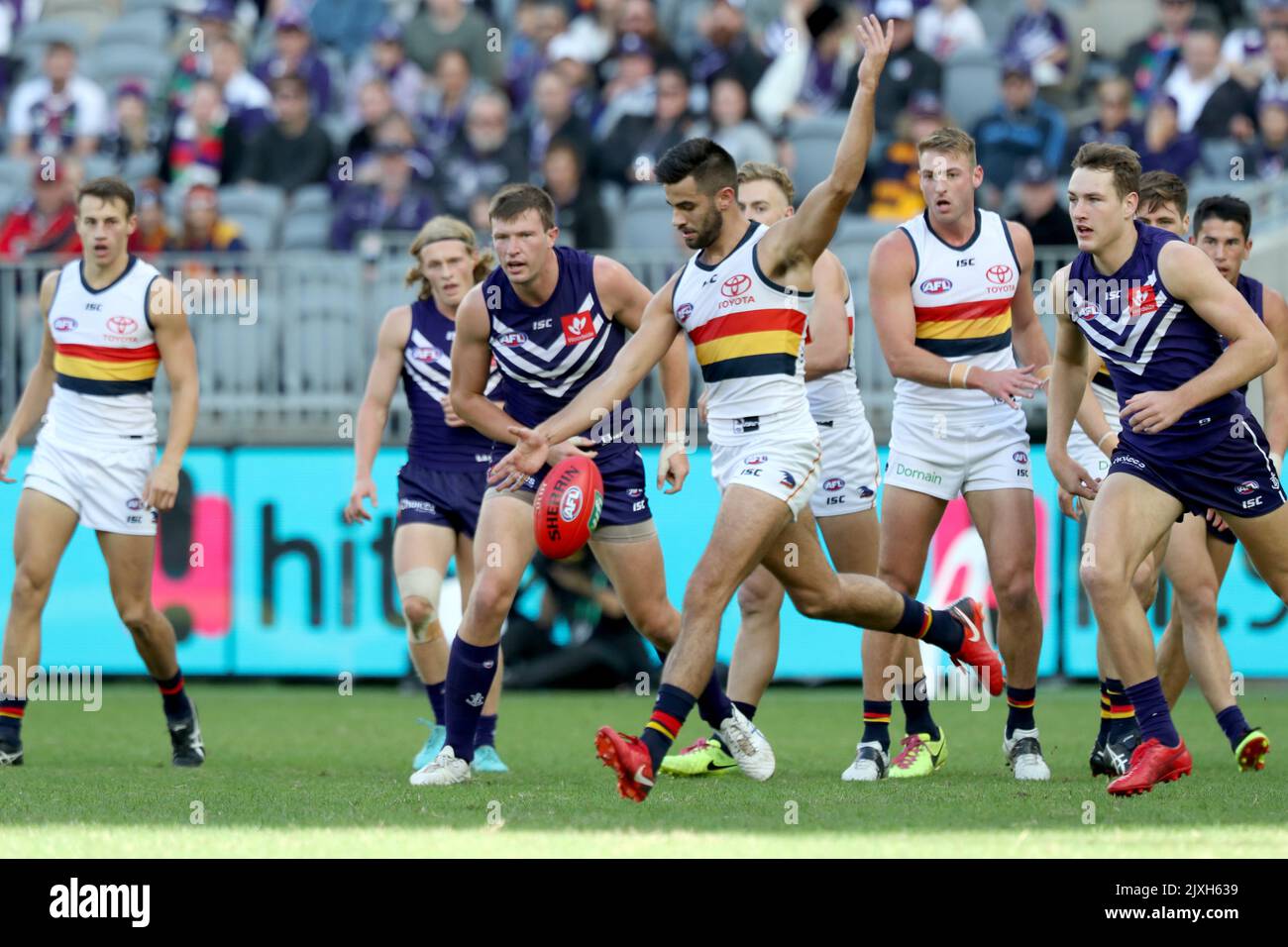 Wayne Milera of the Crows in action during the Round 12 AFL match ...