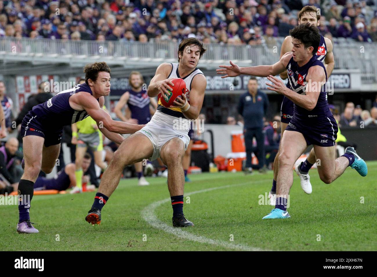 Darcy Fogarty of the Crows in action during the Round 12 AFL match ...
