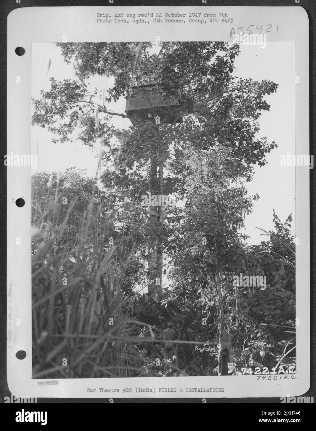 A Singal Station Built In The Top Of A Tree At Chabua, Assam, India ...